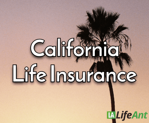 California Life Insurance - Best Life Insurance Companies in California
