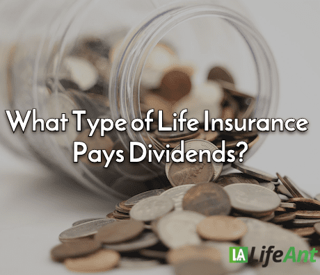 What Type of Life Insurance Pays Dividends? [Dividend Payments FAQ]